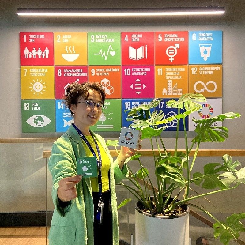 Selcan Çatal - Arkhé Projesi